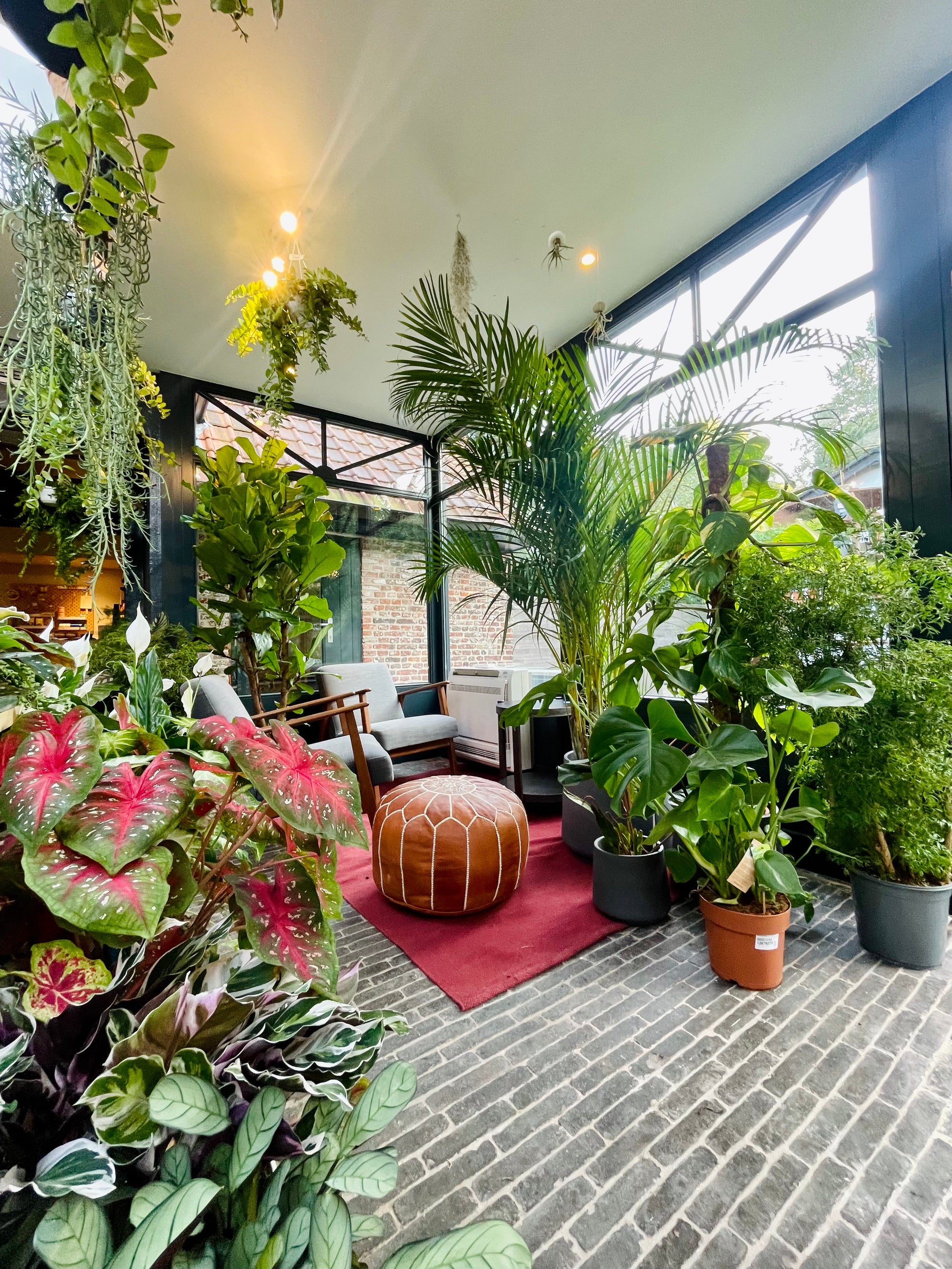 Stera Plantenbar - Brugge | Stera